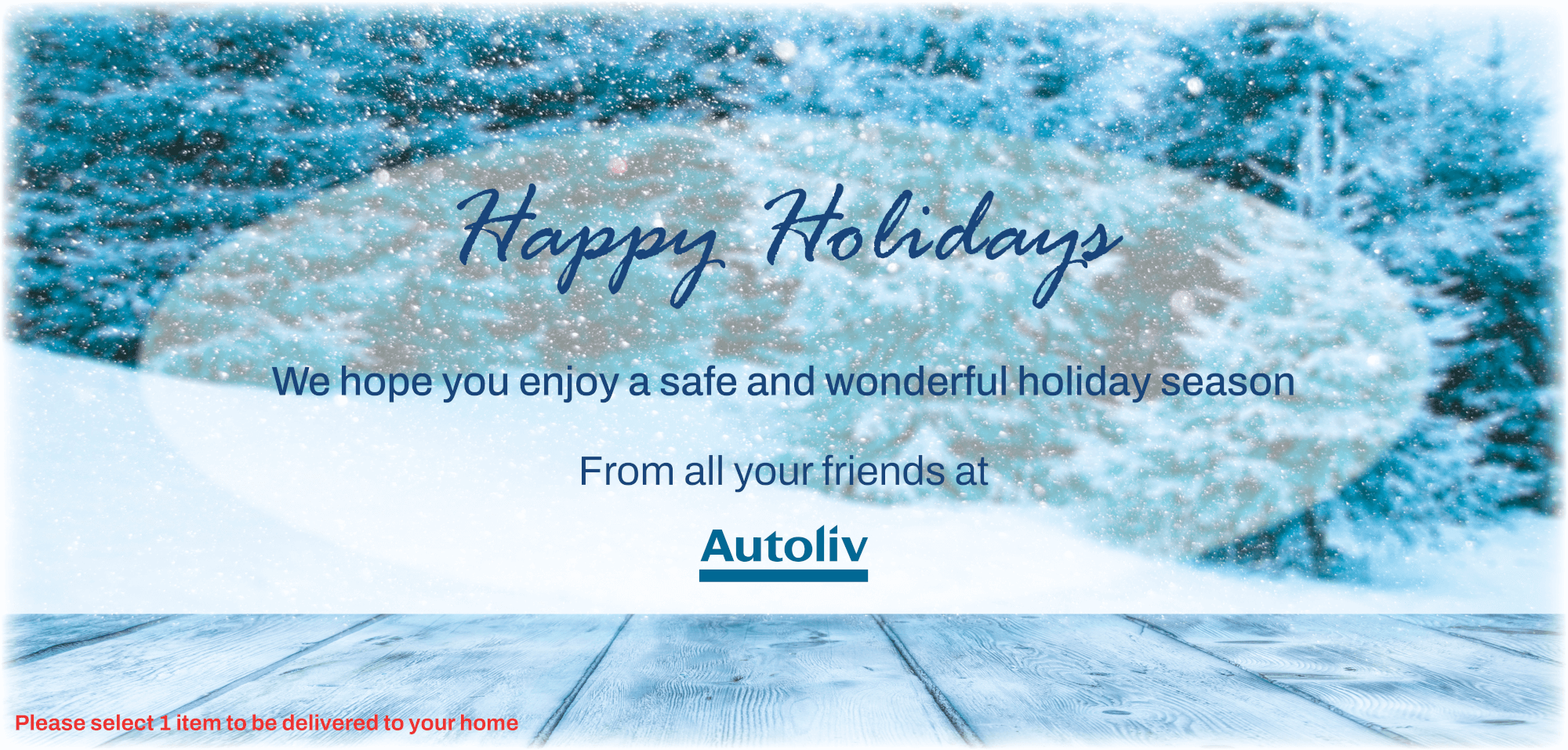 Autoliv Gifts – Autoliv Gifts